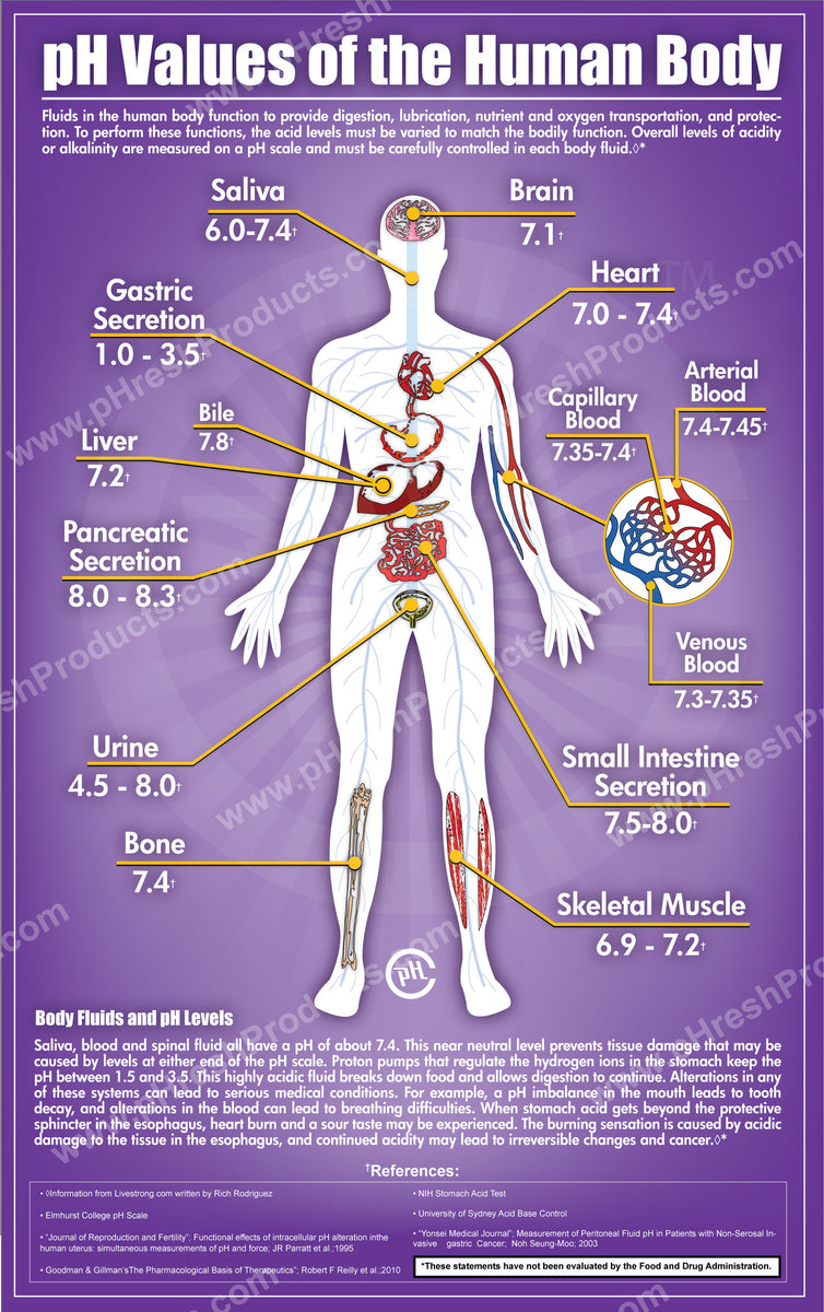 The Alkaline Myth. Understanding Acids, Alkalines, and pH for Health P ...